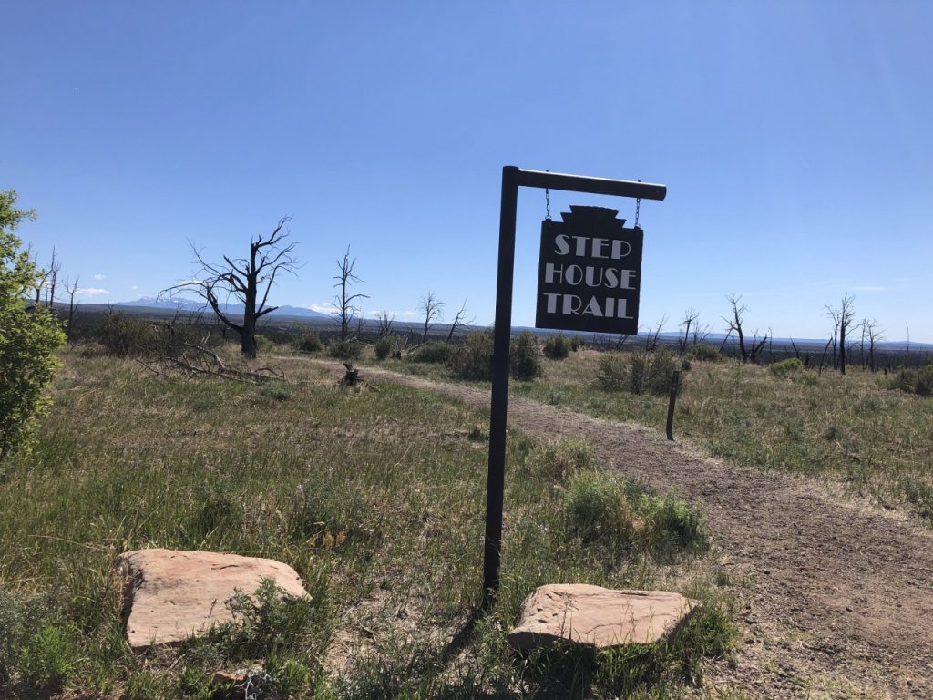 【子供にもっと興味を!】アメリカ国立公園のジュニアレンジャーになる | 毎日のタネ、話のネタ帳